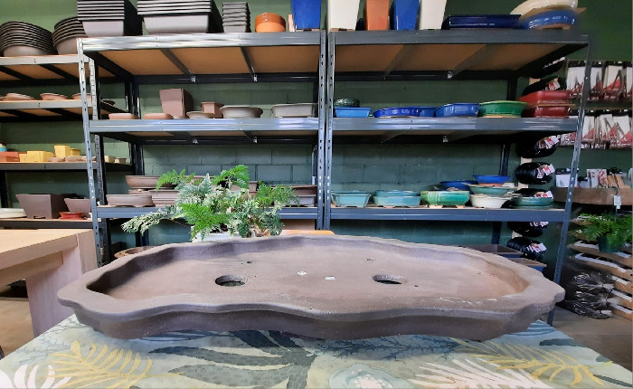 Potten :: Sakura bonsai shop